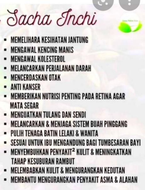 TEH SACHA INCHI, Food & Drinks, Beverages on Carousell