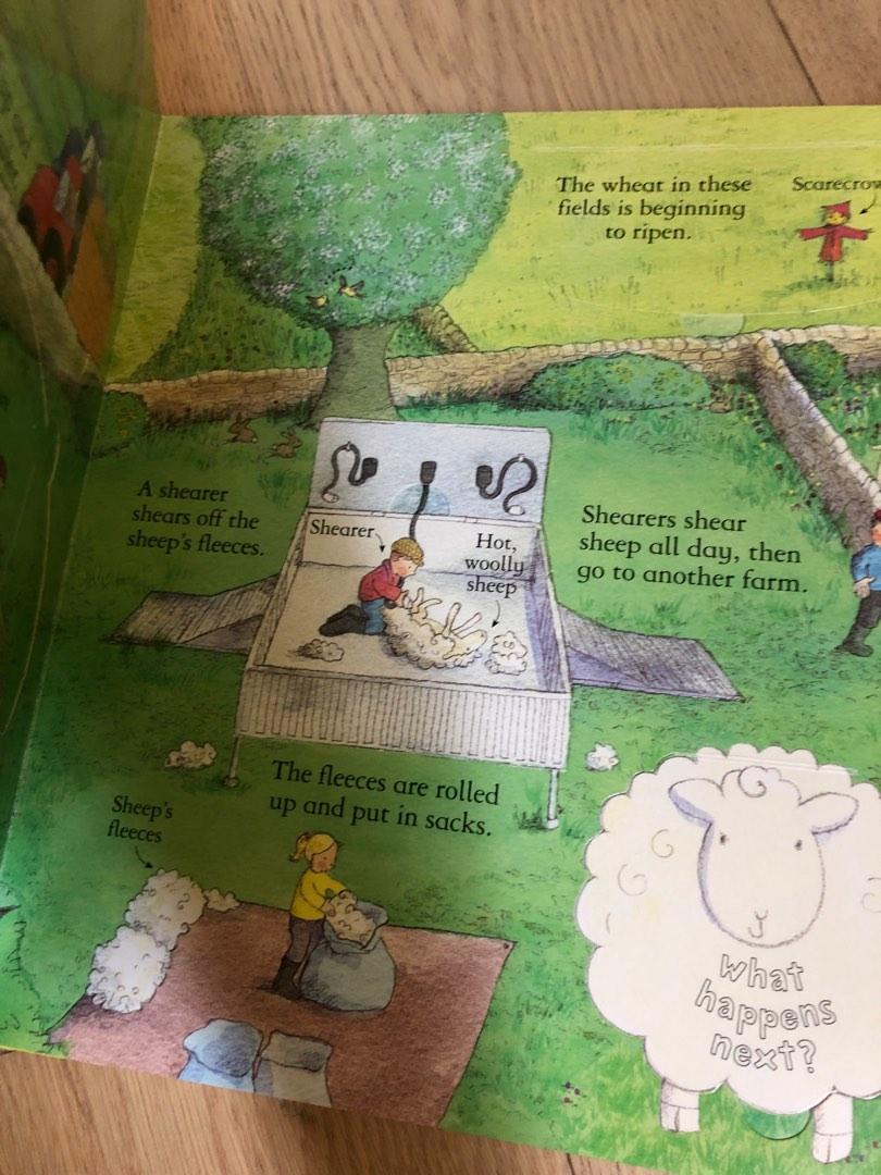 Usborne look inside a Farm flap book, 興趣及遊戲, 書本 & 文具, 兒童書籍 - Carousell