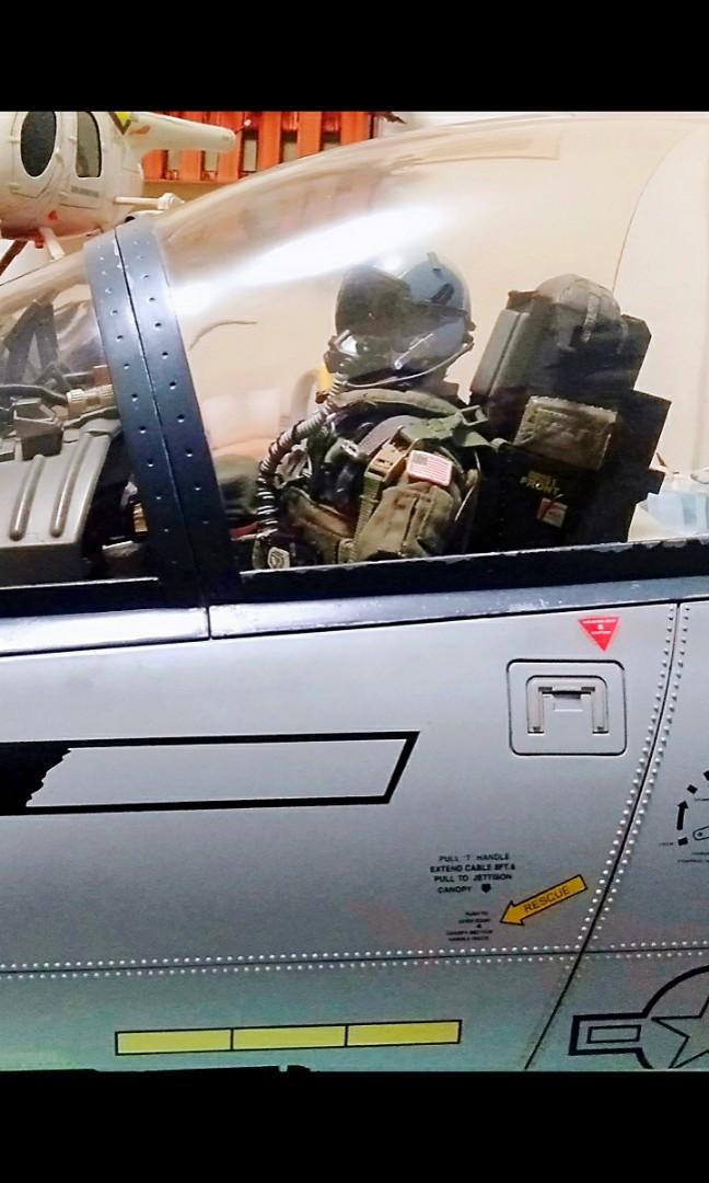 1/6 SCALE ELITE FORCE/AVIATOR/BBI F-15 EAGLE COCKPIT (RARE), Hobbies ...