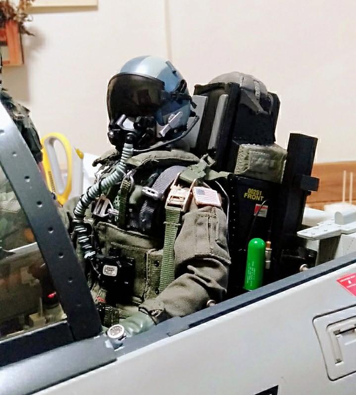 1/6 SCALE ELITE FORCE/AVIATOR/BBI F-15 EAGLE COCKPIT (RARE), Hobbies ...