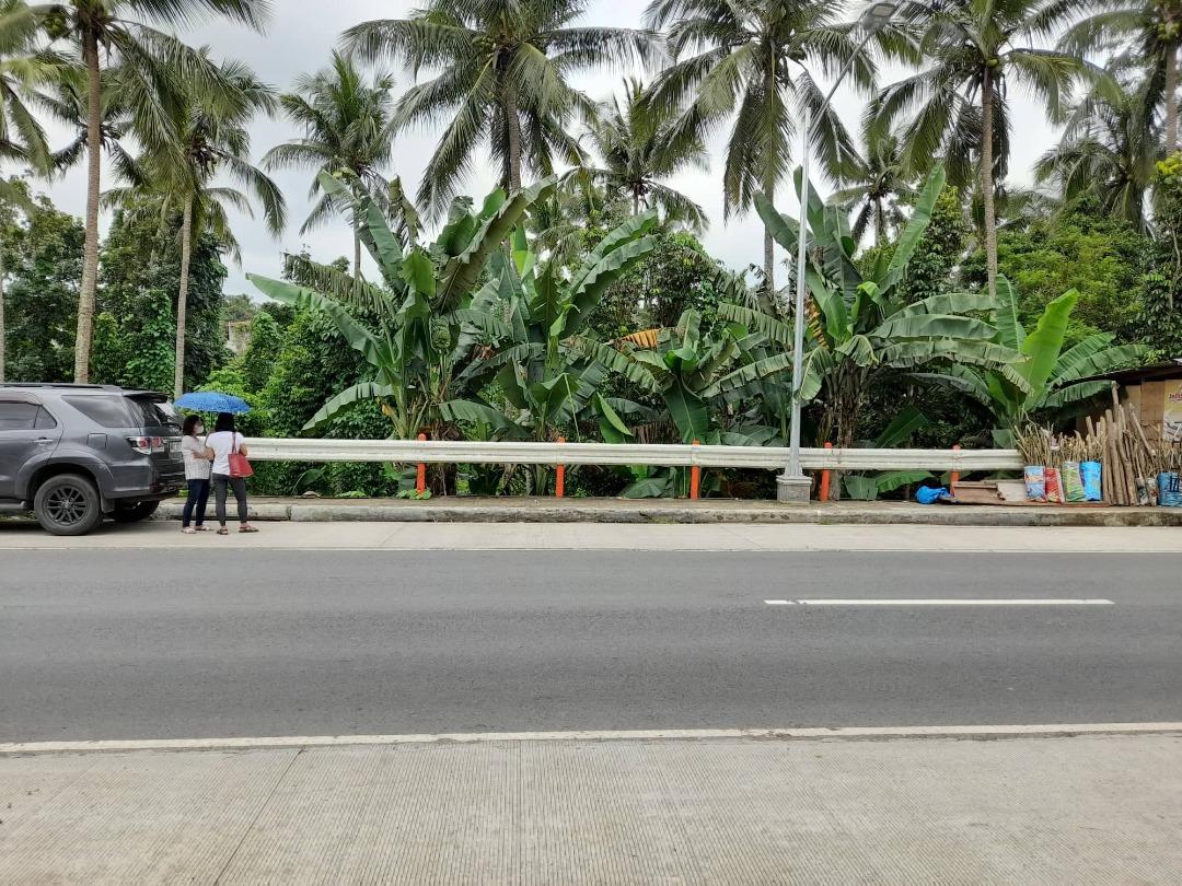 #belowmarketvalue Bulacnin Lipa City 800sqm Lot for Sale (high ...