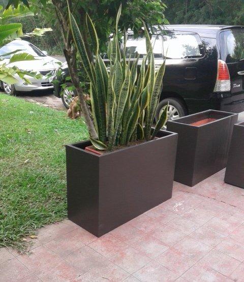 ALYSSA Glass Fiber Reinforced Concrete (GFRC) Planters Plant box Pots ...