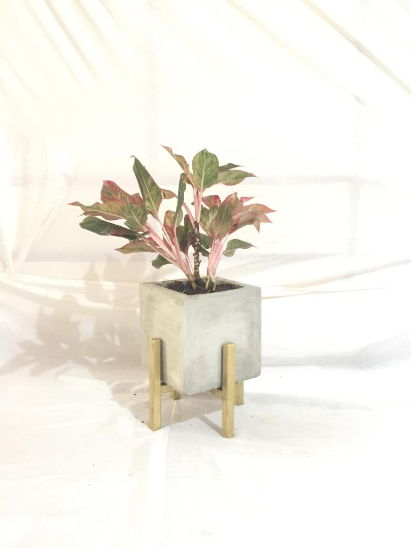 DANIELLA Glass Fiber Reinforced Concrete (GFRC) Planters Plant box Pots ...