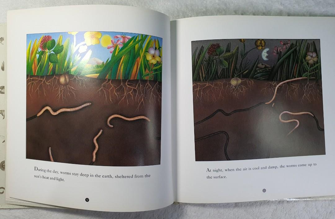 Earthworm, Hobbies & Toys, Books & Magazines, Children's Books on Carousell