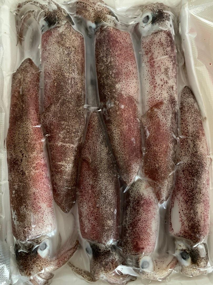 Hand picked female squid all with egg, Food & Drinks, Chilled & Frozen ...