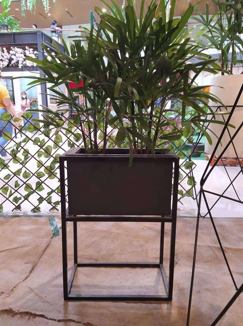 HANNAH20" Glass Fiber Reinforced Concrete (GFRC) Planters Plant box ...