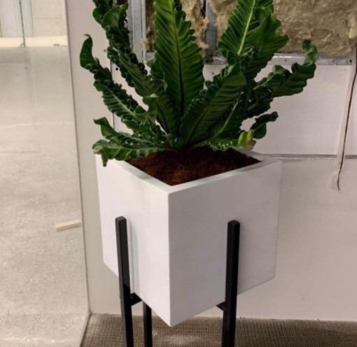 MARIA Glass Fiber Reinforced Concrete (GFRC) Planters Plant box Pots ...
