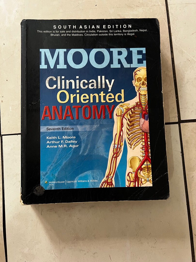 Moore clinical anatomy, Hobbies & Toys, Books & Magazines, Textbooks on ...