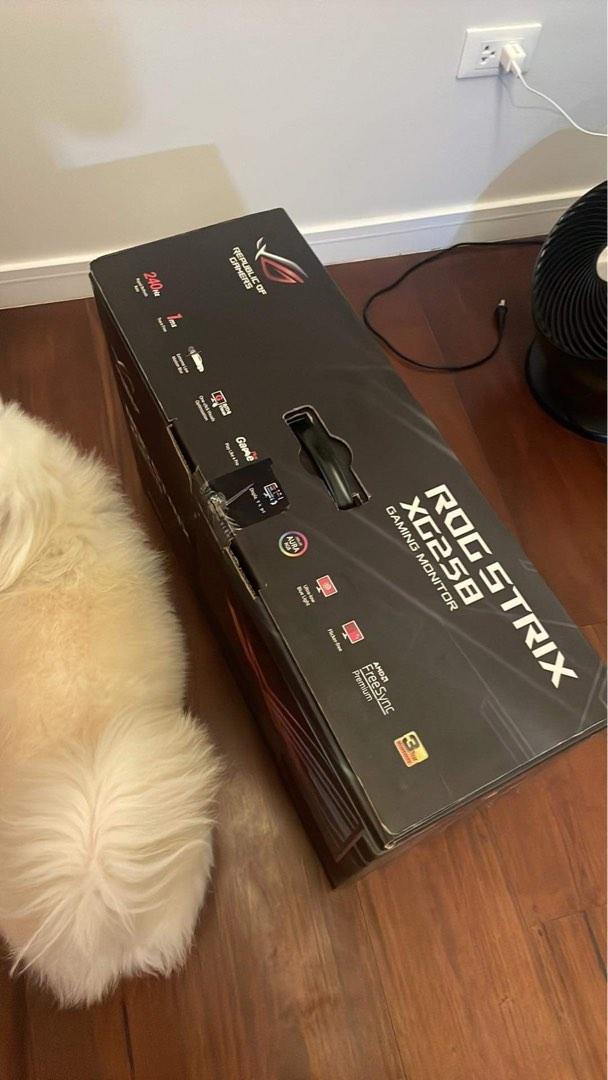 ROG strix XG258, Computers & Tech, Parts & Accessories, Monitor Screens ...