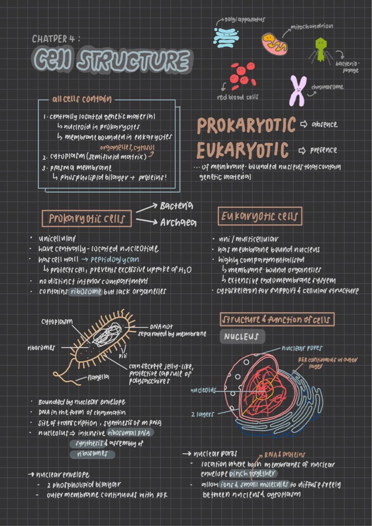 science (biochemistry) notes - cell structure, Hobbies & Toys, Books ...