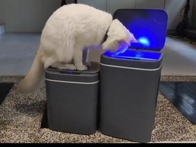 Smart Dust Bin with Automatic Infrared Sensor | Soft Closing Smart Bin ...