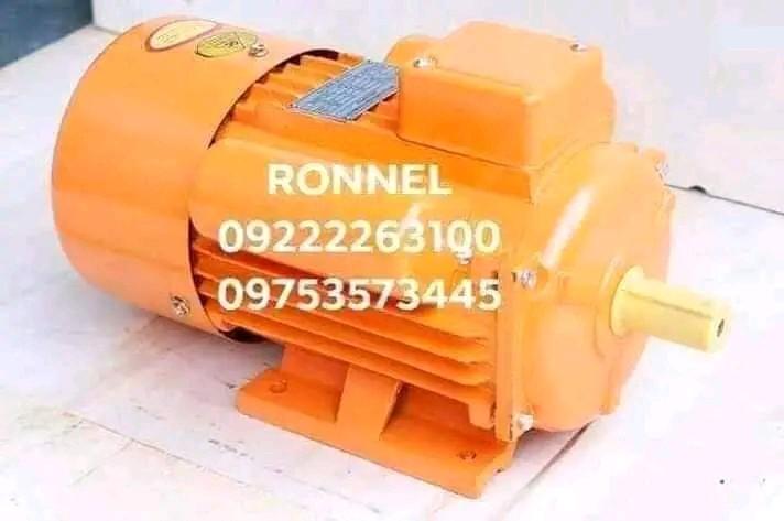 TESLA ITALY PURE COPPER 100% Electric Induction Motor, Commercial ...