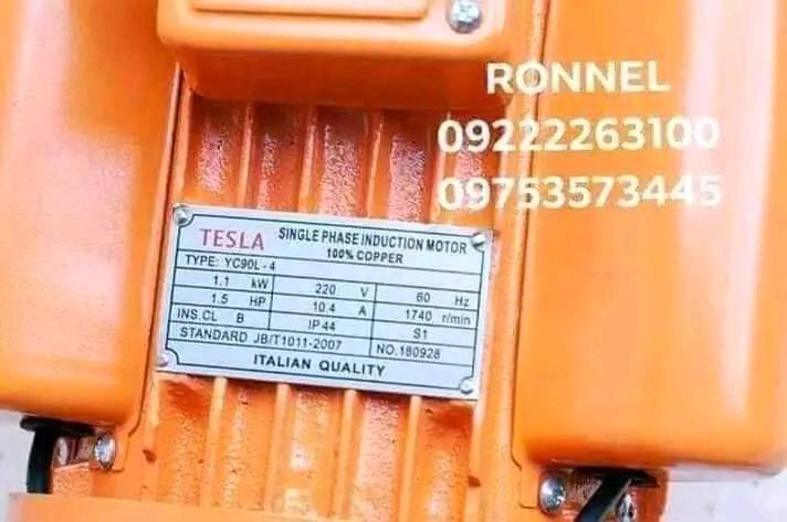 TESLA ITALY PURE COPPER 100% Electric Induction Motor, Commercial ...