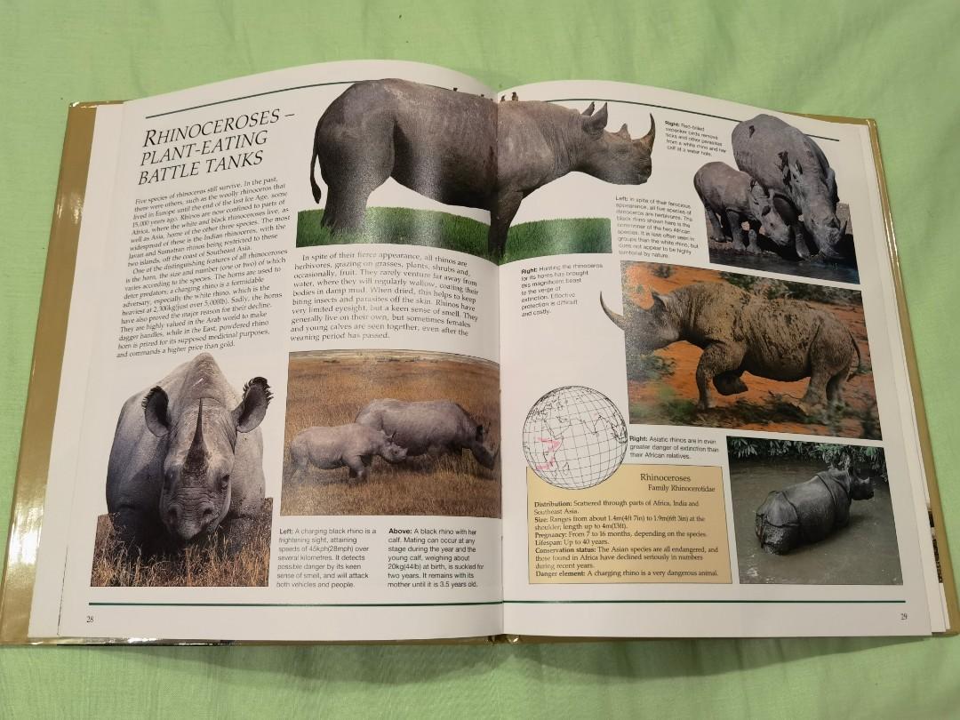 Wild Animals Story Book, Hobbies & Toys, Books & Magazines, Children's ...