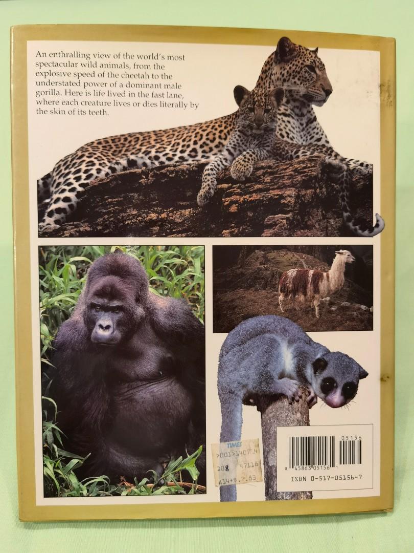 Wild Animals Story Book, Hobbies & Toys, Books & Magazines, Children's ...