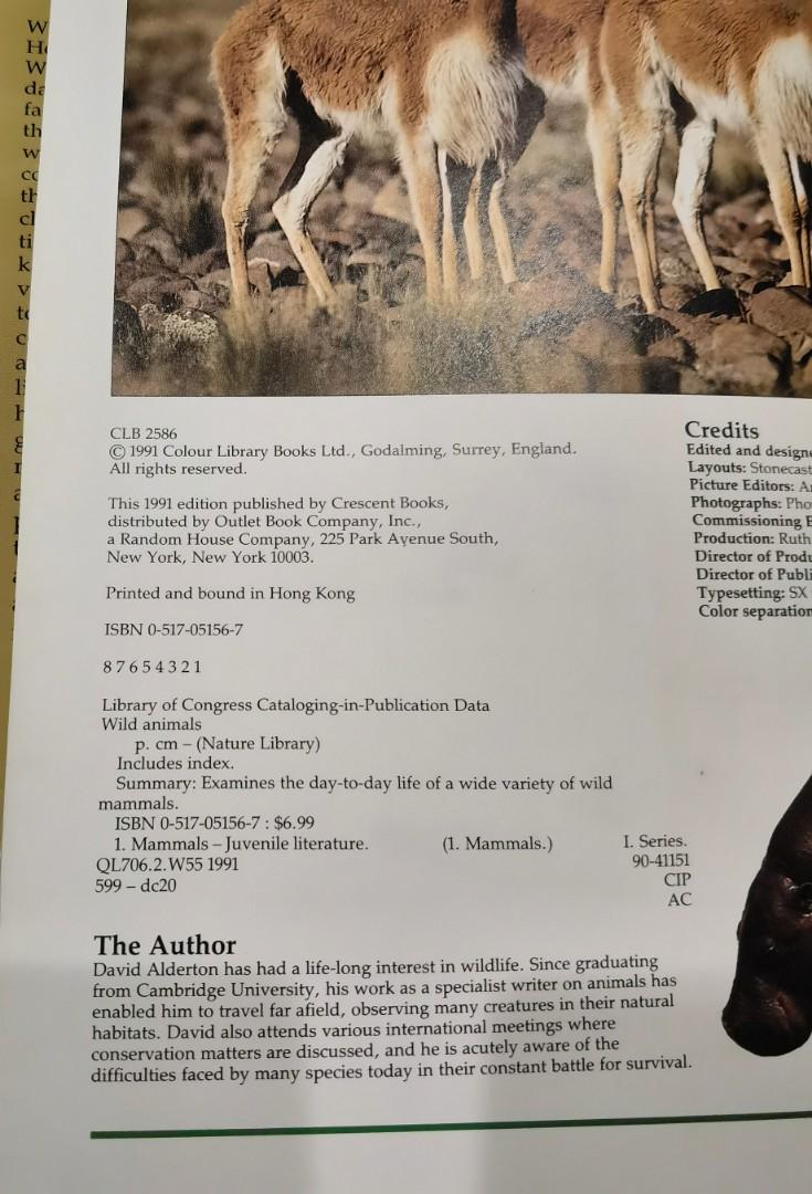 Wild Animals Story Book, Hobbies & Toys, Books & Magazines, Children's ...