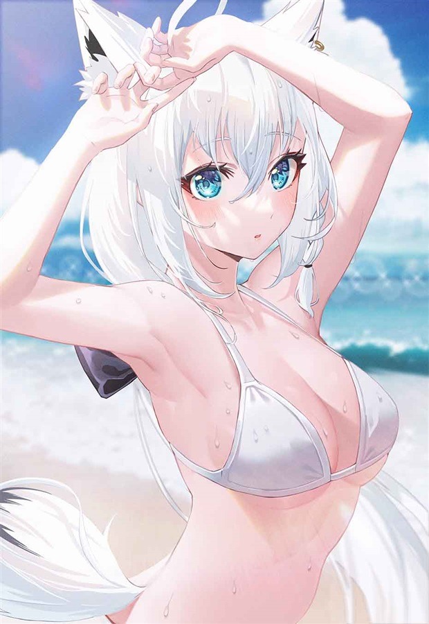 「預訂」[C100]hololive 同人本 holo BIKINI (じゃんじゃら丼), 興趣及遊戲, 書本 & 文具, 雜誌 - Carousell