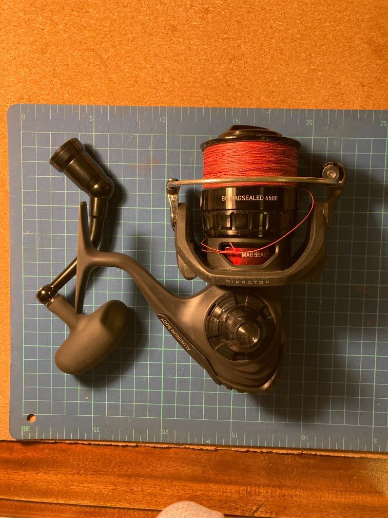 Daiwa BG MagSealed 4500 spinning Reel, Sports Equipment, Fishing on Carousell