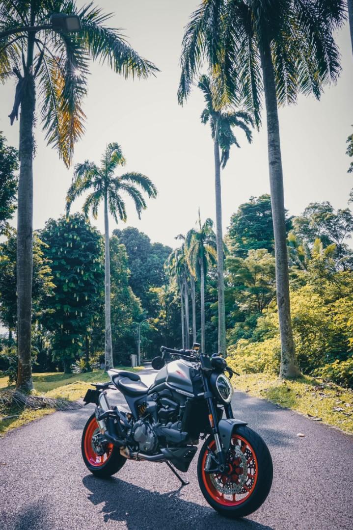 Ducati Monster 950 *Registration 21/10/2021, Motorcycles, Motorcycles ...