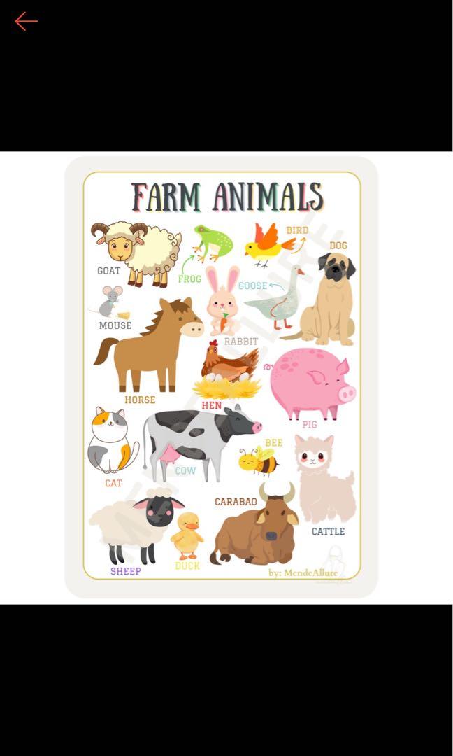 Educational chart a4 laminated, Babies & Kids, Infant Playtime on Carousell Educational chart a4 laminated, Babies & Kids, Infant Playtime on Carousell