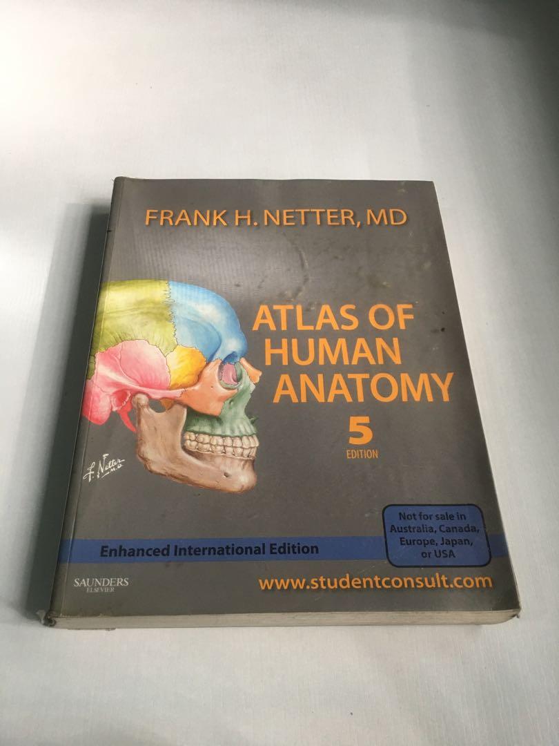 NETTER ATLAS OF HUMAN ANATOMY 5th Edition, Hobbies & Toys, Books ...
