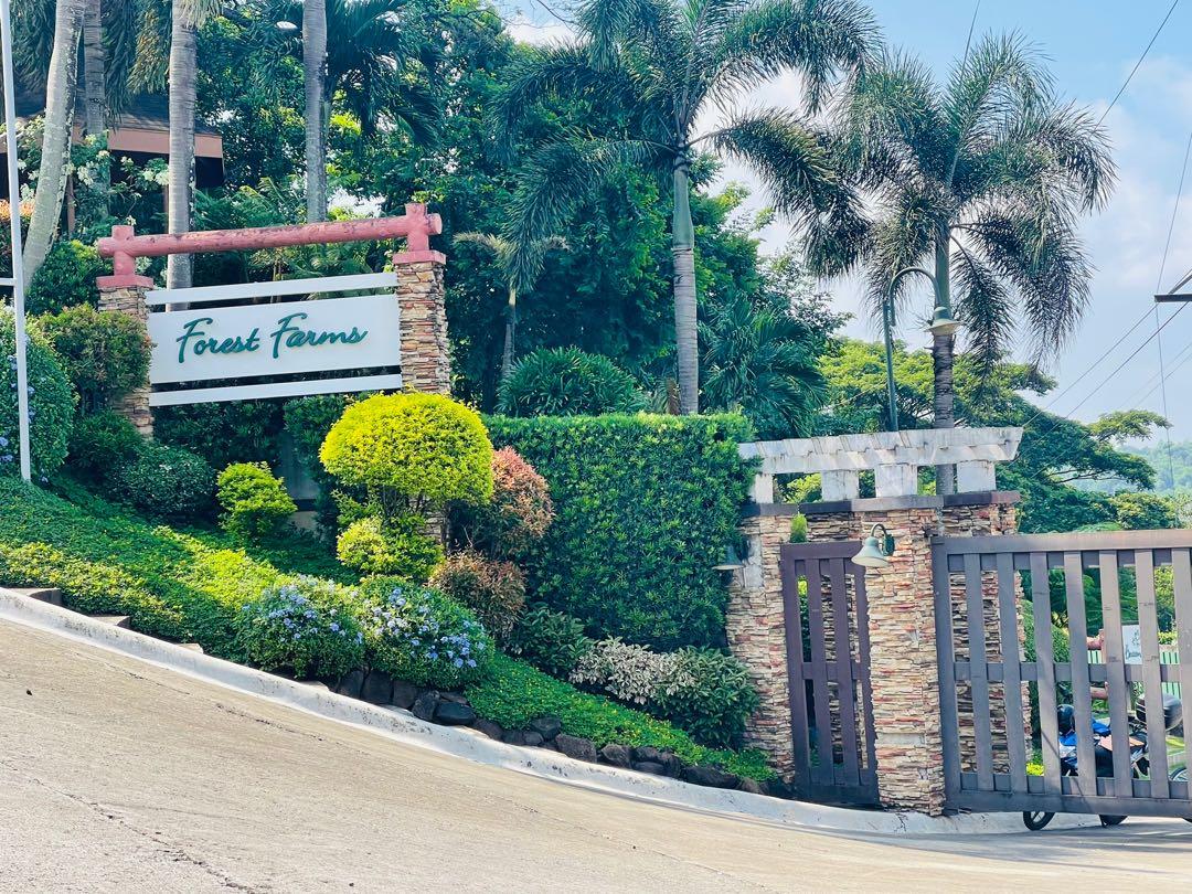 Overlooking Farm lot for sale Forest Farms Havila Angono Rizal ...
