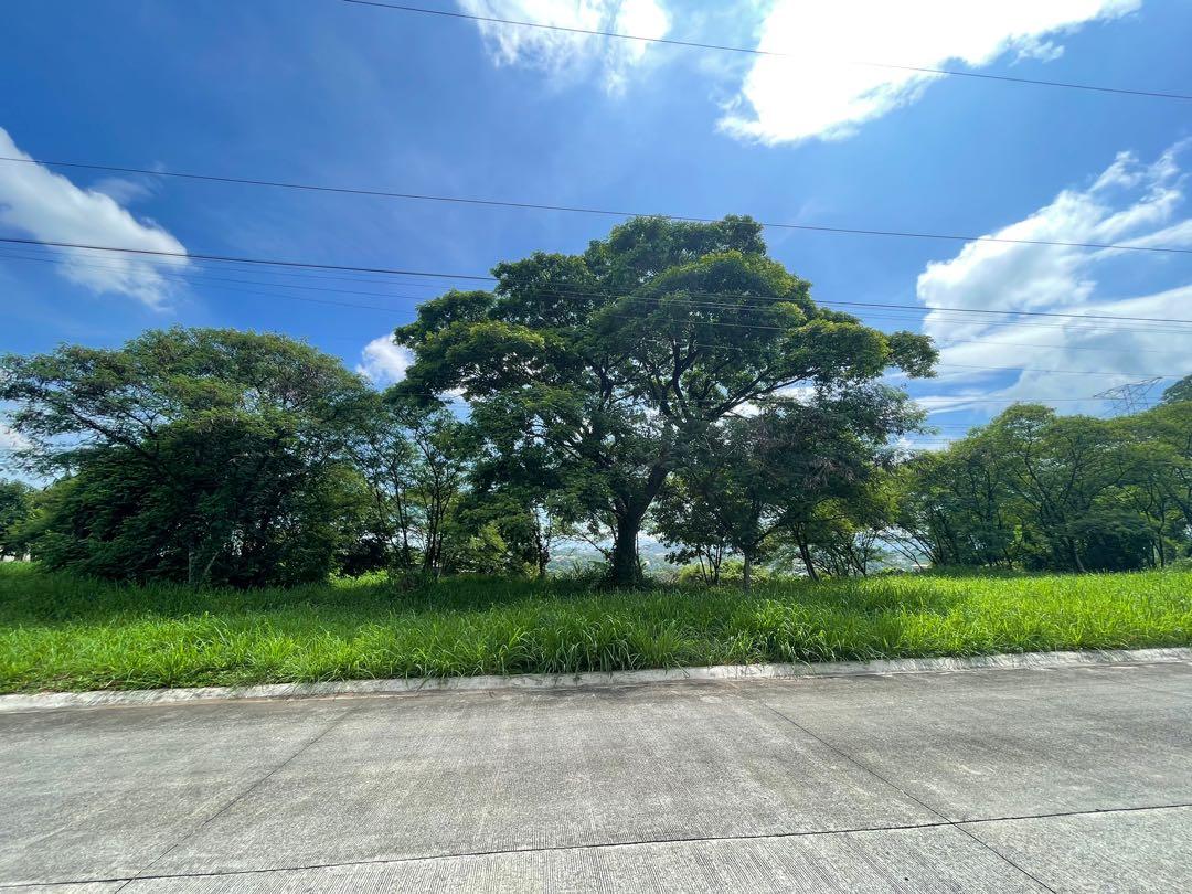 Overlooking Farm lot for sale Forest Farms Havila Angono Rizal ...