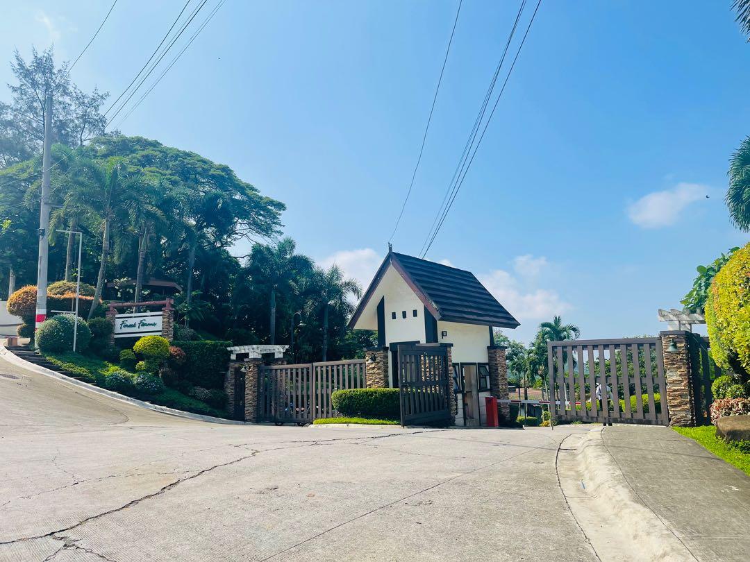Overlooking Farm lot for sale Forest Farms Havila Angono Rizal ...