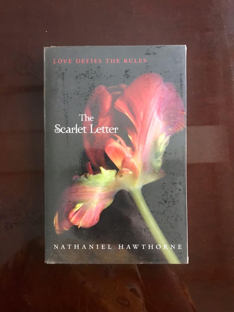The Scarlet Letter by Nathaniel Hawthorne, Hobbies & Toys, Books ...