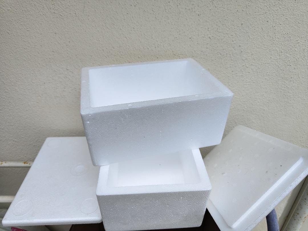 ALL 2! Styrofoam Mini Cooler Box, Furniture & Home Living, Home ...