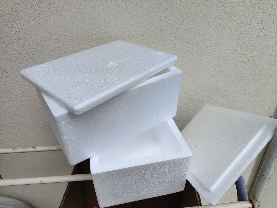 ALL 2! Styrofoam Mini Cooler Box, Furniture & Home Living, Home ...