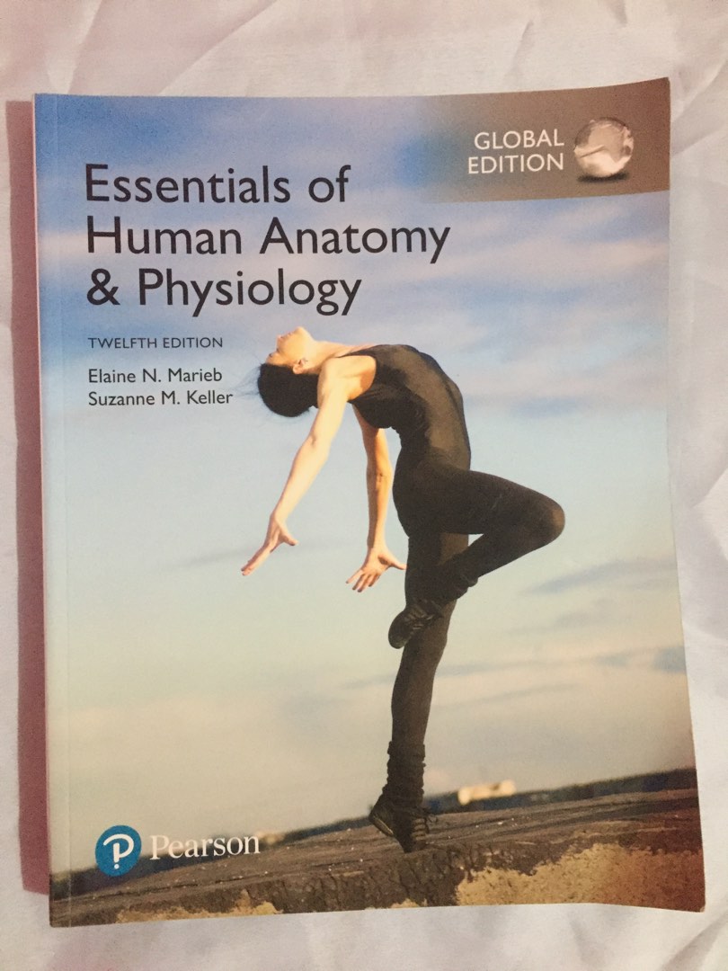 Essential of Human Anatomy & Physiology: twelfth edition, Hobbies ...