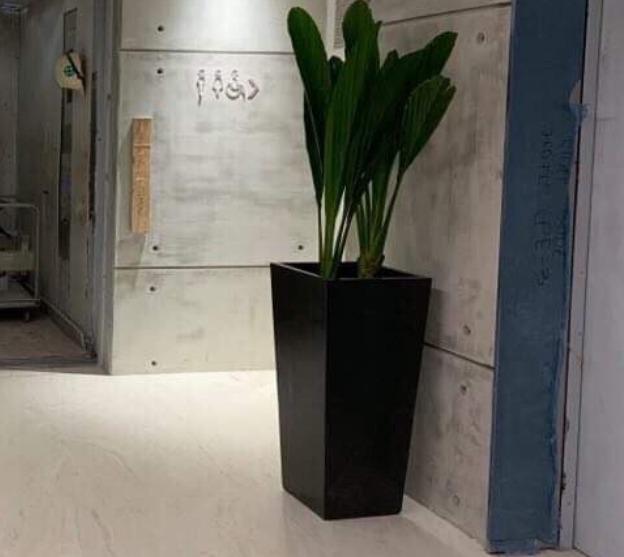 FRANCESCA Glass Fiber Reinforced Concrete (GFRC) Planters Plant box ...