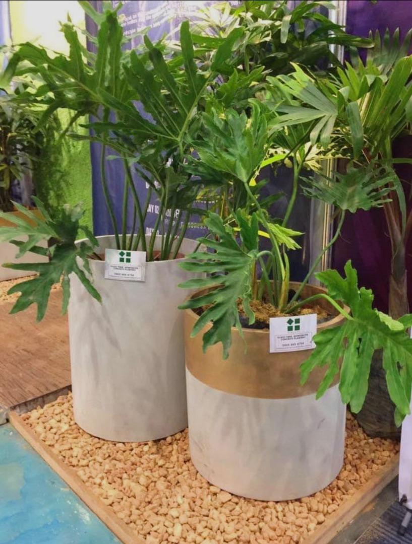 NATHALIA16" Glass Fiber Reinforced Concrete (GFRC) Planters Plant box ...