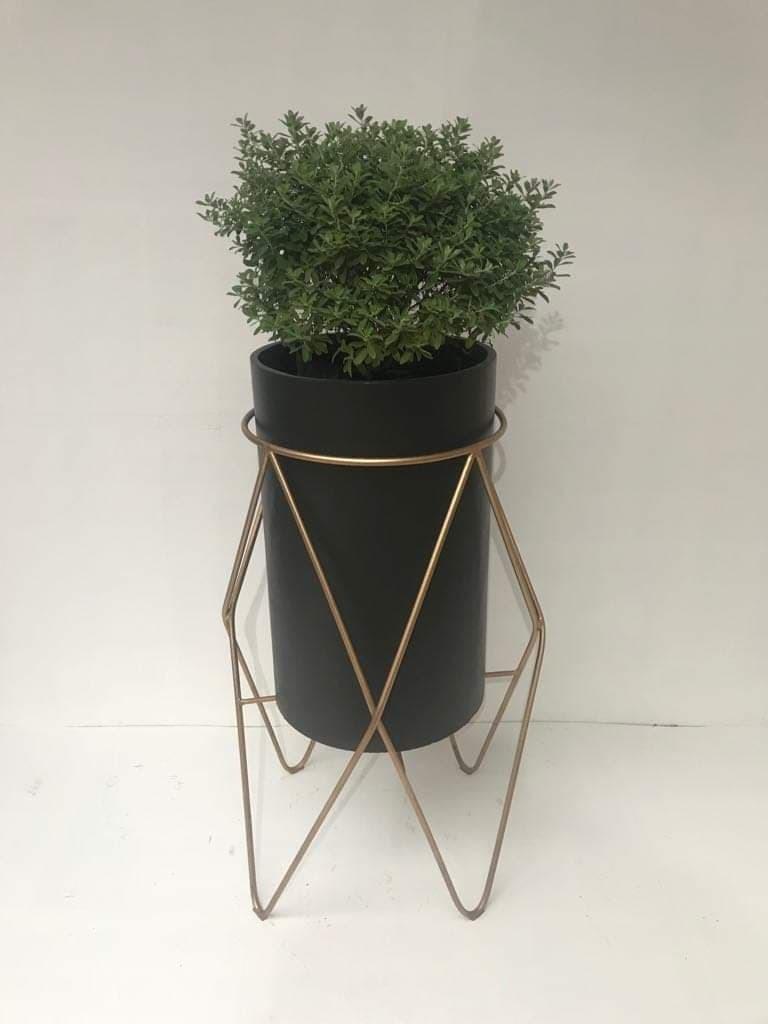 NATHALIA24" Glass Fiber Reinforced Concrete (GFRC) Planters Plant box ...