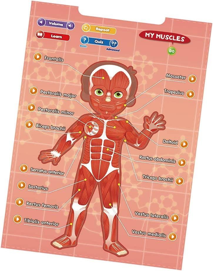 s My Body Interactive Educational Human Anatomy Talking Game Toy System ...