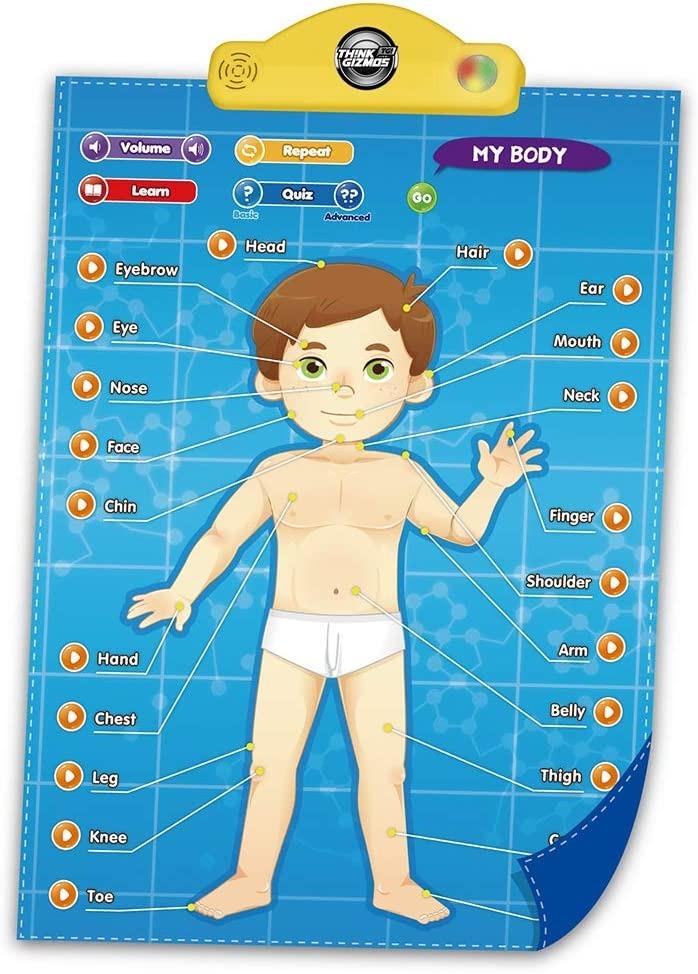 s My Body Interactive Educational Human Anatomy Talking Game Toy System to Learn Body Parts ...