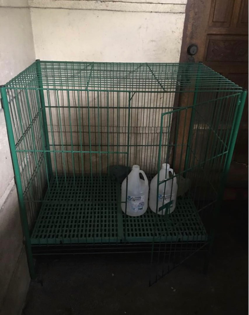 Used cage with free 2 mattings, Pet Supplies, Homes & Other Pet ...