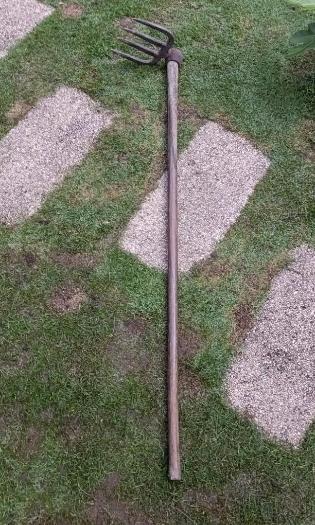 Antique Iron Fork Head Digger with 5 feet long heavy solid wood handle ...