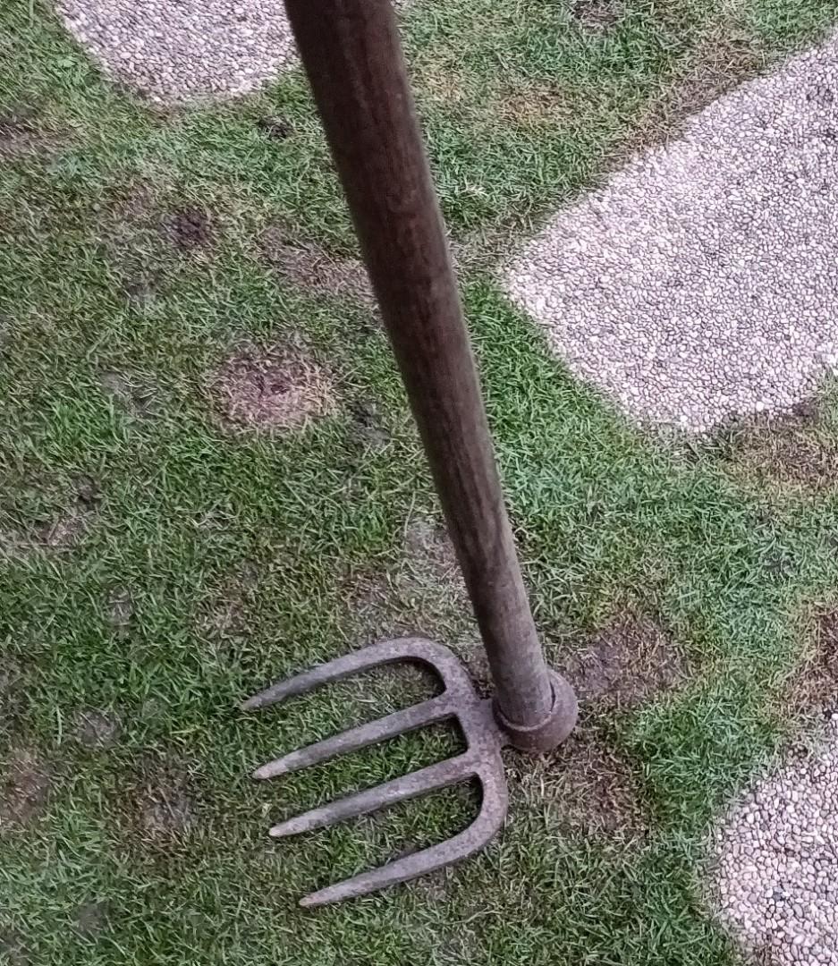 Antique Iron Fork Head Digger with 5 feet long heavy solid wood handle ...