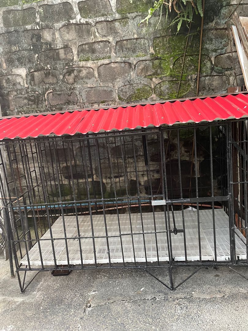 Dog cage ideal for big dogs, Pet Supplies, Homes & Other Pet ...