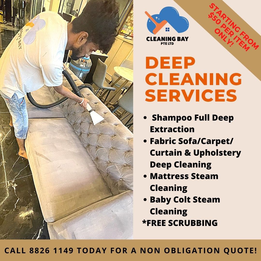 Shampoo Deep Cleaning Extraction Sofa cleaning , Upholstery cleaning ...