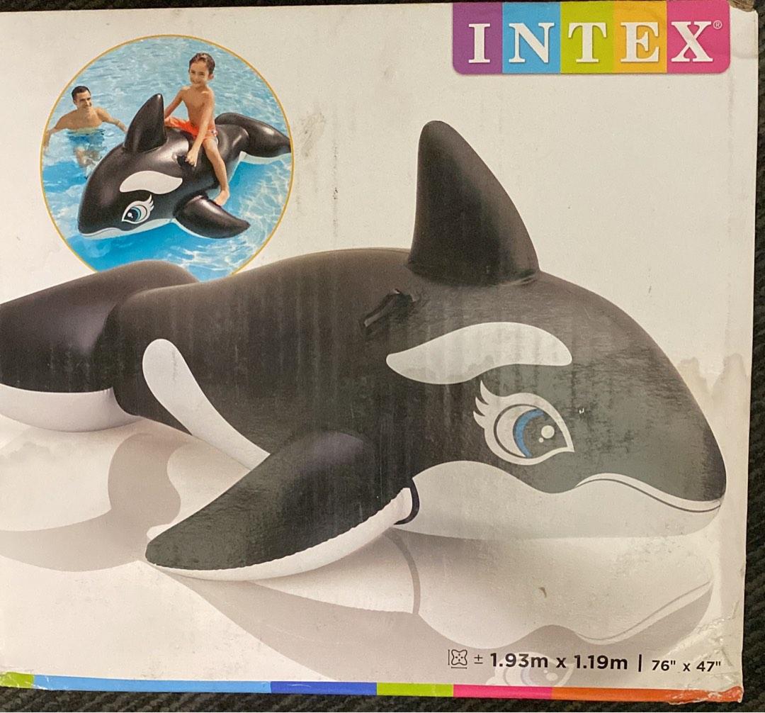 Intex Black Whale Ride on Float, Hobbies & Toys, Toys & Games on Carousell