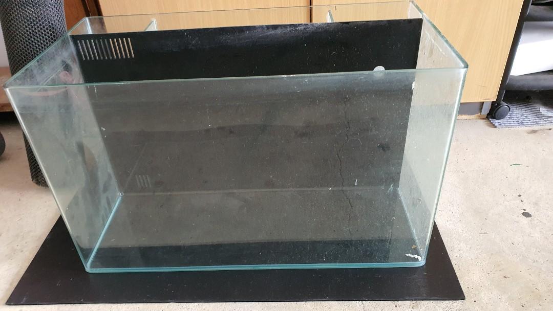 ISO Fish Tank, Pet Supplies, Homes & Other Pet Accessories on Carousell