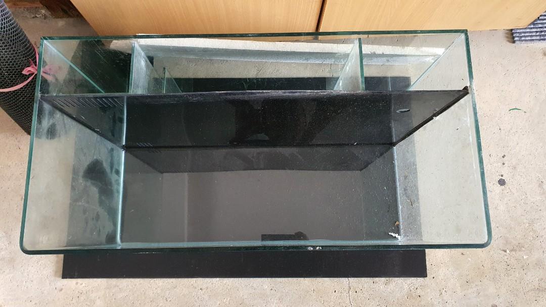 ISO Fish Tank, Pet Supplies, Homes & Other Pet Accessories on Carousell