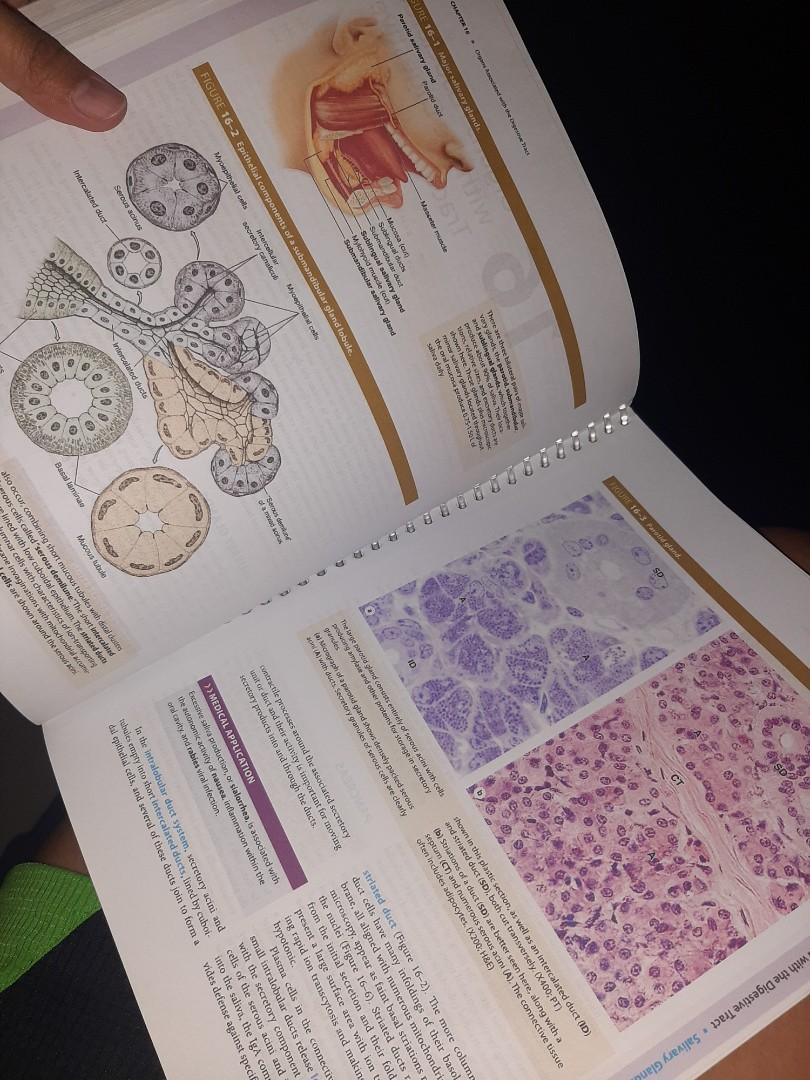 Junqueira's Basic Histology (Text & Atlas) REPRINTED, Hobbies & Toys ...