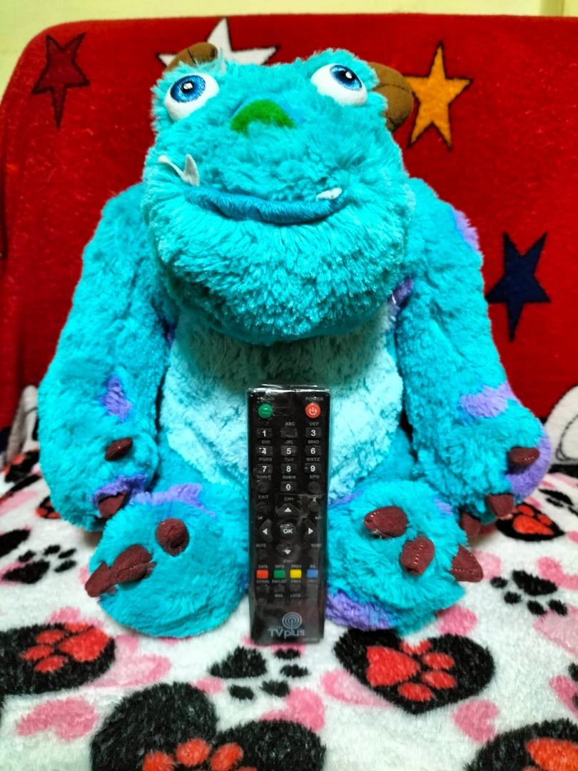 Kumamon Cinamorrol The lion King Sully and paw Patrol, Hobbies & Toys ...