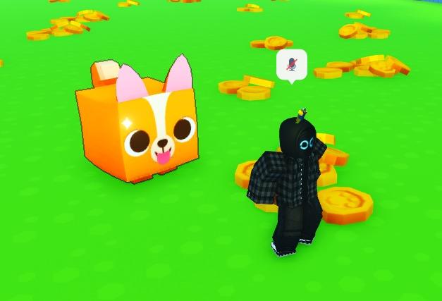 PET SIMULATOR X HUGE CORGI, Video Gaming, Gaming Accessories, In-Game ...