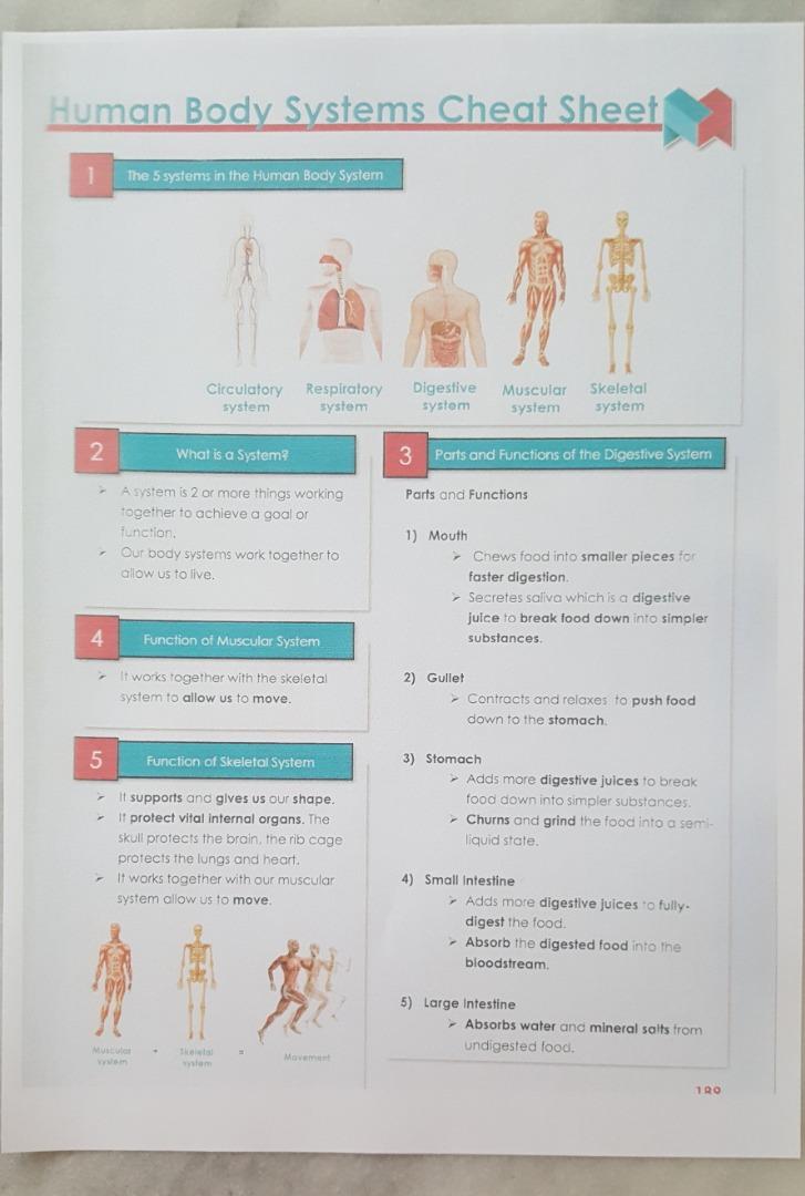 PSLE Science Revision Notes, Hobbies & Toys, Books & Magazines ...