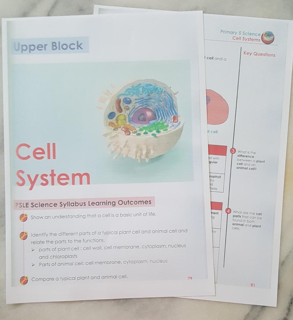 PSLE Science Revision Notes, Hobbies & Toys, Books & Magazines ...